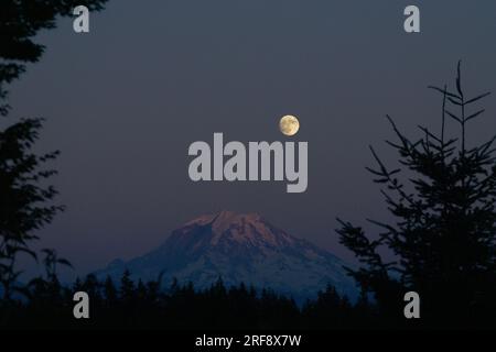 Blue Moon Rising over Mt. Rainier Stock Photo - Alamy