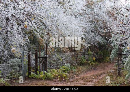 Historic Oklahoma Ice Storm October 2020 Stock Photo - Alamy