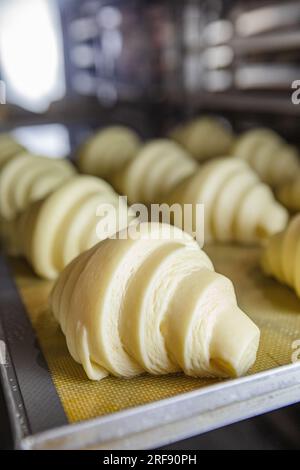 Bake proofed croissant dough on sheet Stock Photo - Alamy
