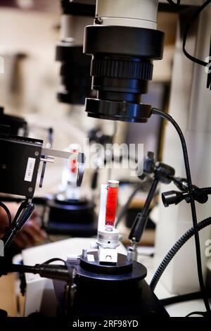 Criminal research ballistics department: comparison of two bullets ...