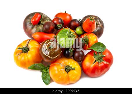 Main varieties of old tomatoes Stock Photo - Alamy