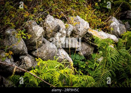 Traditional Irish stone walls celtic culture buildings landscape Stock ...