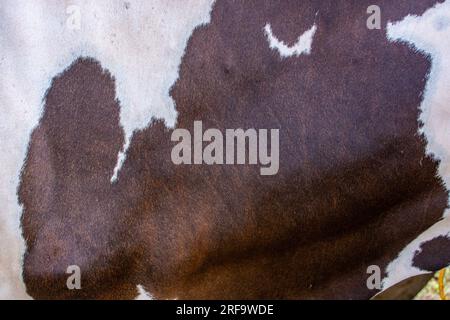 Cow hide pattern or texture Stock Photo - Alamy