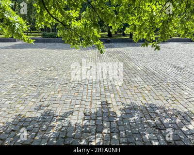 Shadow of tree on cobblestone sidewalk at Hoi An, Vietnam Stock Photo ...