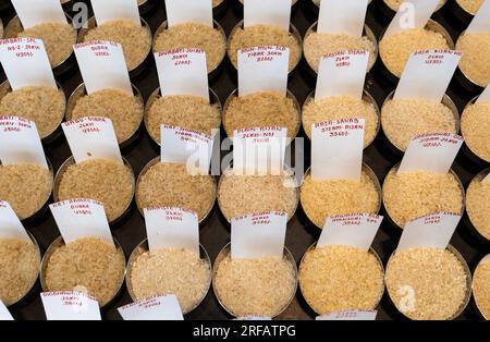 Rice trader displays variety of rice samples at a wholesale store, in ...