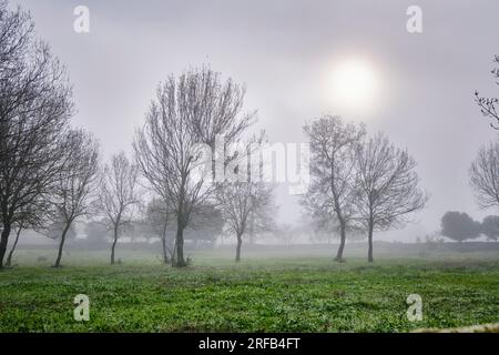 Foggy winter morning. Vila Cha de Braciosa, Tras-os-Montes. Portugal ...