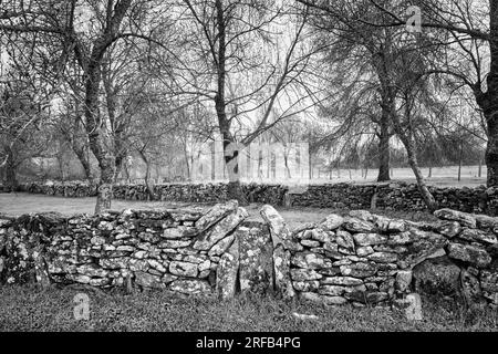 Traditional stone wall at Vila Cha da Braciosa in a foggy morning ...