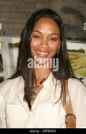 Zoe Saldana arriving at the premiere of "Motorcycle Diaries" at Loews ...
