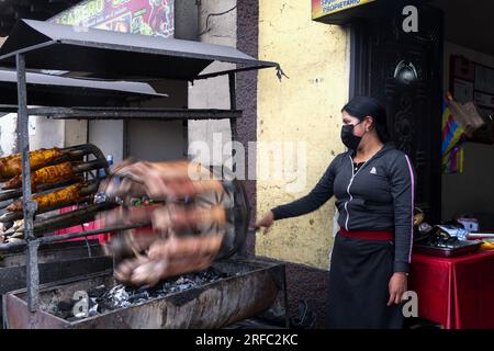 Guinea pig on grill carousel, Ecuador Stock Photo - Alamy