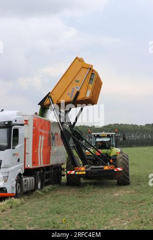 Self-propelled machine harvesting and unloading soybeans. Grain harvest ...