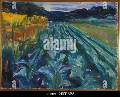 Cabbage Field, Edvard Munch, 1915, Munch Museet, Oslo, Norway Stock ...