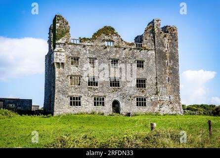 Scenic view of Leamenh Castle Ruins in Clare Ireland historical ...
