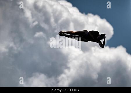 Susanna Fish of United States of America competes in the High Diving ...