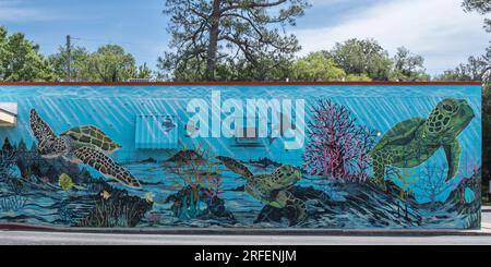 Five Points Package Store mural, Amelia Island, Florida Stock Photo - Alamy