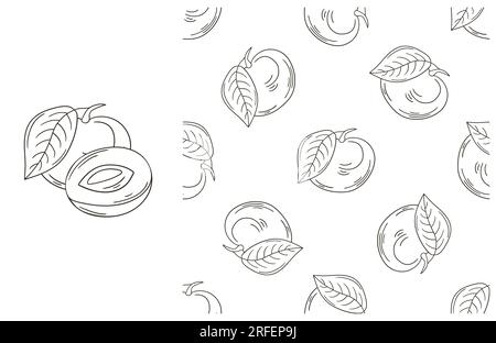 Longan. Coloring pattern with tropical fruits. Set in hand draw style ...