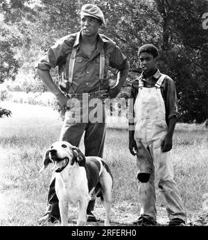 SOUNDER, Taj Mahal, 1972 Stock Photo - Alamy