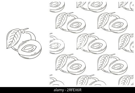 Longan. Coloring in hand drawn style. Children's drawings, exotic fruit ...