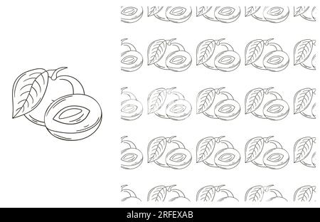 Longan. Coloring in hand drawn style. Children's drawings, exotic fruit ...