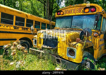 United States, Mississippi, Roxie, school bus junkyard Stock Photo - Alamy