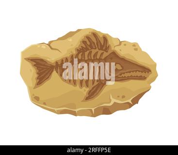 ancient fossil, fish skeleton imprint in stone. Prehistoric fish body ...