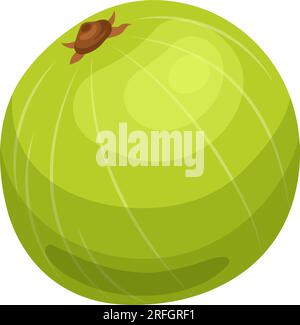 leaf amla fruit cartoon vector illustration Stock Vector Image & Art ...