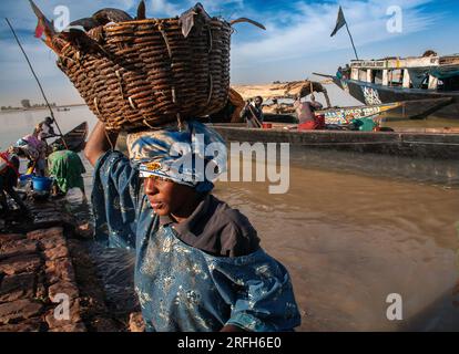 Fishermen and labourers unloading fish in the port of Mopti. Mali, West ...