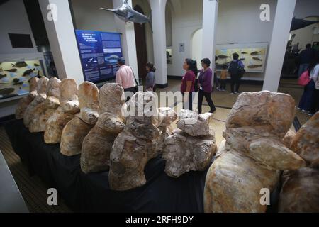 Lima, Peru. 03rd Aug, 2023. Peruvian researcher Mario Urbina stands ...
