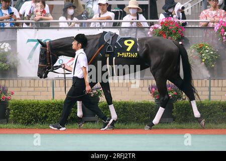 Aichi, Japan. 16th July, 2023. 2023/07/16 CHUKYO 11R MEITETSU HAI 7/2 ...