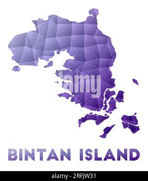 Bintan Island icon. Vector polygonal map. Bintan icon in geometric ...