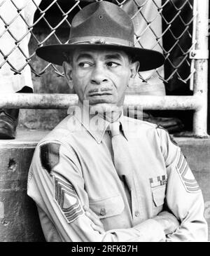 A SOLDIER'S STORY, Adolph Caesar, 1984 Stock Photo - Alamy