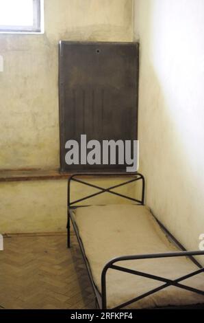 World War. Interrogation of a German prisoner (1918 Stock Photo - Alamy