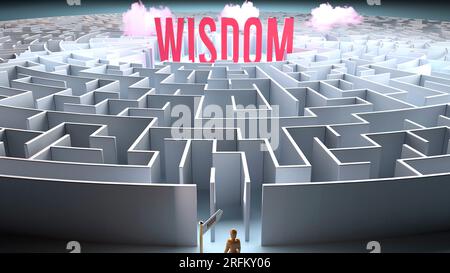 A journey to find Wisdom - going through a confusing maze of obstacles ...