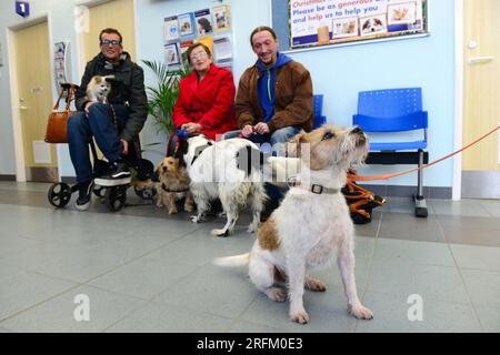 PDSA veterinary surgery waiting room Stock Photo - Alamy