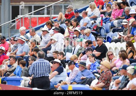 Cricket spectators UK - Crowds of people watching the England vs India ...