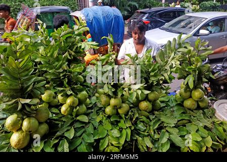 A vendor selling Thai guava in the capitals Dhanmondi as price of 120 ...