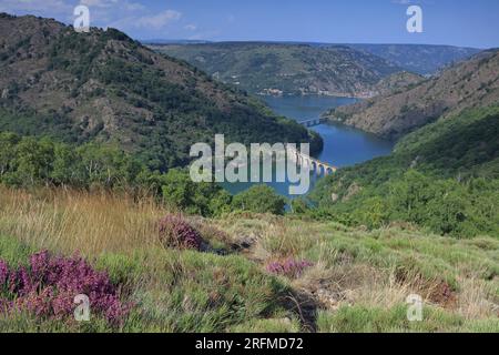 France, Lozère, Villefort, the lake, hydraulic reservoir, Altier ...