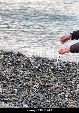 Sargan fish on a pebble beach. Europian Garfish (Belone belone) in ...