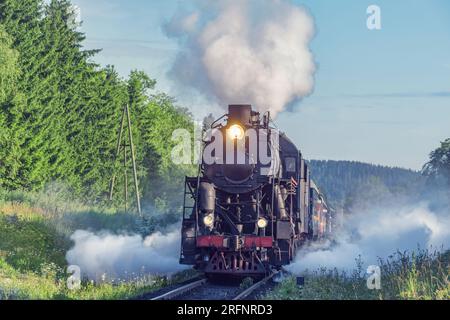 Retro steam train moves in the forest Stock Photo - Alamy