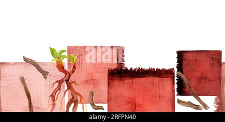 Hand drawn watercolor madder root coloring natural plant dye, materials ...