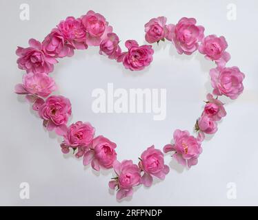 Heart made of pink ribbon and flowers on turquoise background with ...