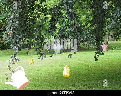 watering cans hang from a tree over a lawn to symbolize the scarcity of ...