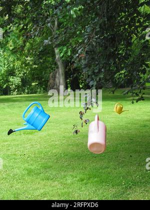 watering cans hang from a tree over a lawn to symbolize the scarcity of ...