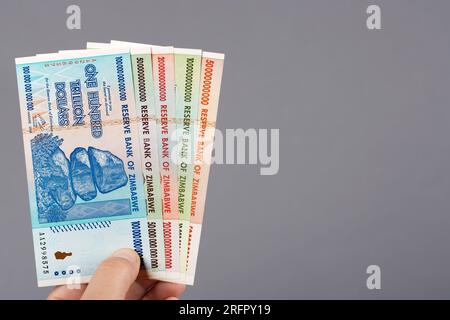 Zimbabwean money - dollar in the hand on a gray background Stock Photo ...