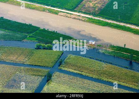 HEBI, CHINA - AUGUST 5, 2023 - Autumn grain corn is flooded in Gongqu ...
