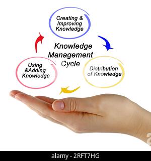 Components of Knowledge Management Cycle Stock Photo - Alamy