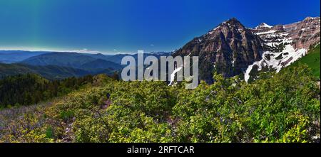 Timpanogos Peak back view hiking Primrose Overlook Horse Spring Trail ...