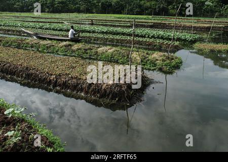 Floating agriculture is a traditional agricultural practice of ...