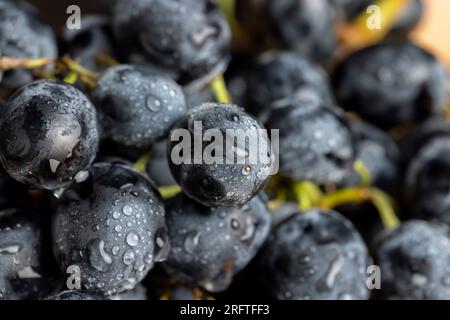 Fresh sweet washed blue grapes, cooking using sweet fresh grapes ...