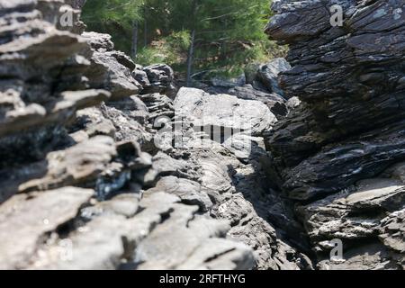 Details of Foca beach in Buzios in Rio de Janeiro, Brazil Stock Photo ...