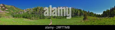 Wasatch Mountain landscape from Primrose Overlook Horse Spring hiking ...